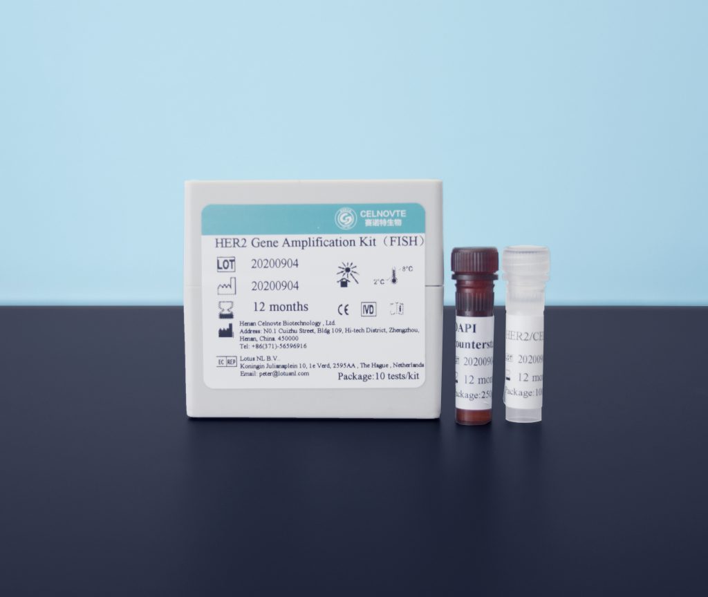HER2 Gene Amplification Detection Kit