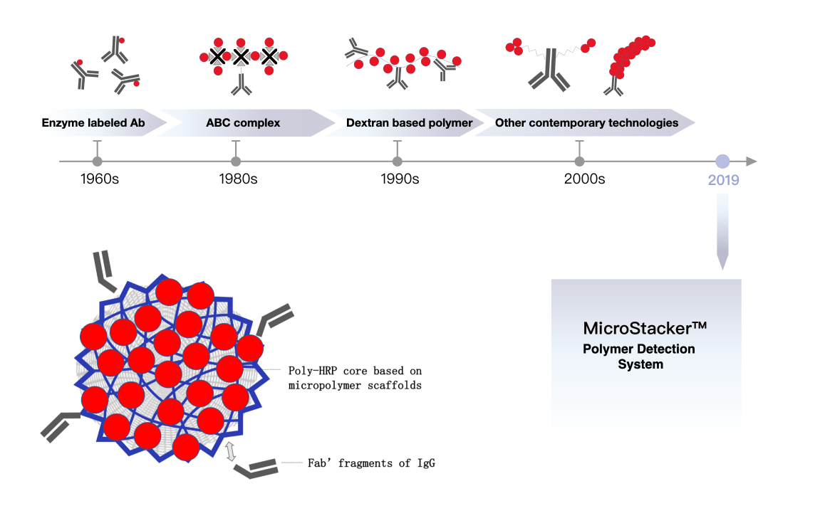 MicroStacker™ Plus HRP-Polymer Detection Kit