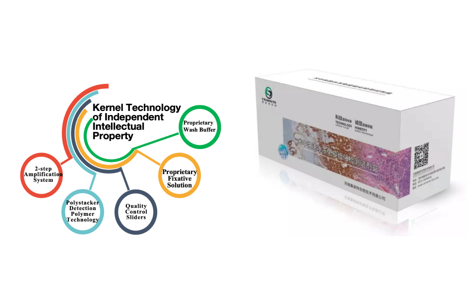 solution_category CLINICAL SOLUTIONS